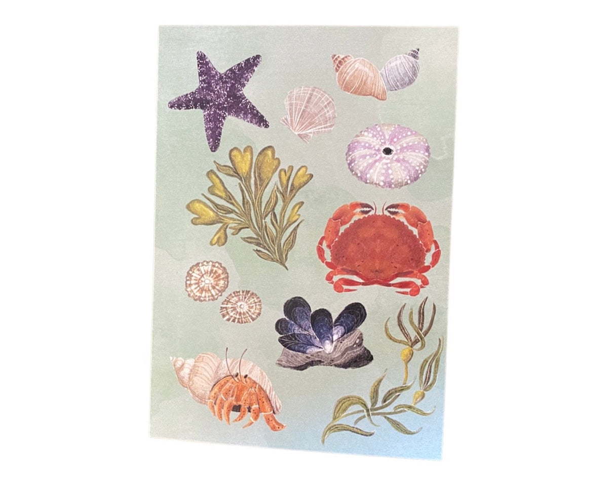 Tide Pool Greeting card – Your Green Kitchen